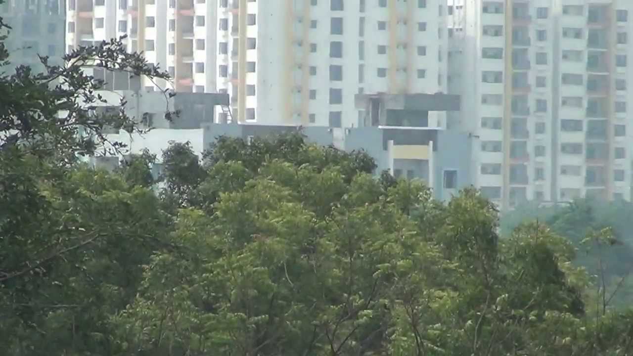 Infosys Hyderabad Pocharam Campus - YouTube