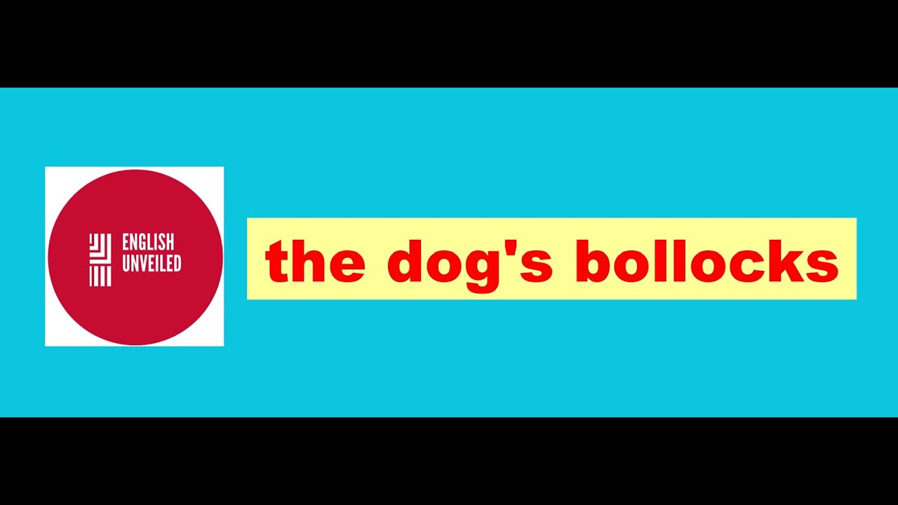 the dog’s bollocks - #snippet_of_english GUESS THE MEANING - YouTube