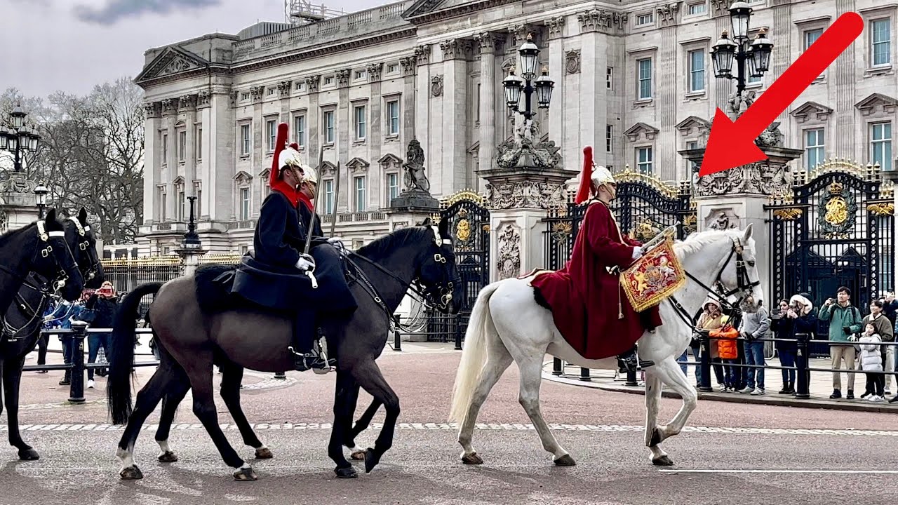 Very Rare Sighting Of The King’s White Horse At Buckingham Palace ...
