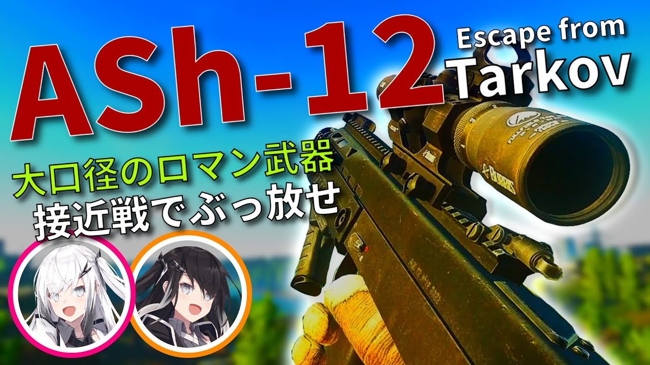 Ash-12 大口径をぶっ放せ【EFT/タルコフ/CoeFont】 #86_2 - YouTube
