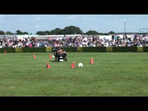 Double Harness Scurry race at the GYS - YouTube
