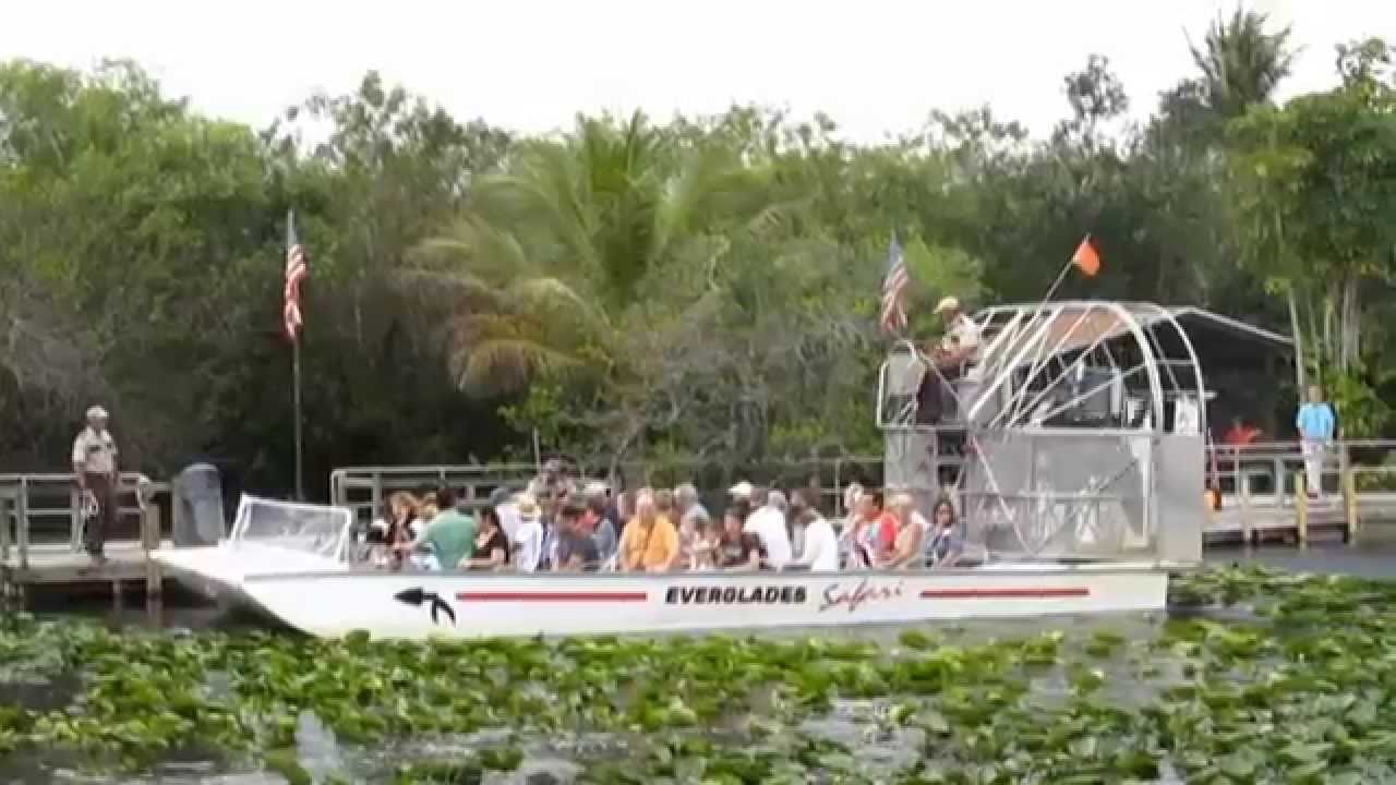 Everglades National Park. Airboat Tour. Florida USA - YouTube
