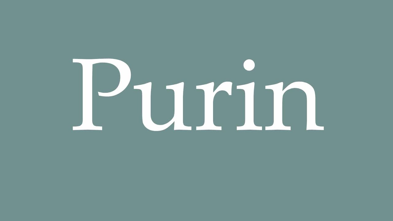 How to Pronounce ''Purin'' (Manure) Correctly in French - YouTube