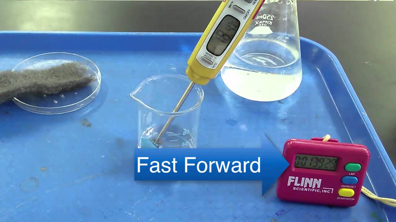 simple exothermic reaction - YouTube