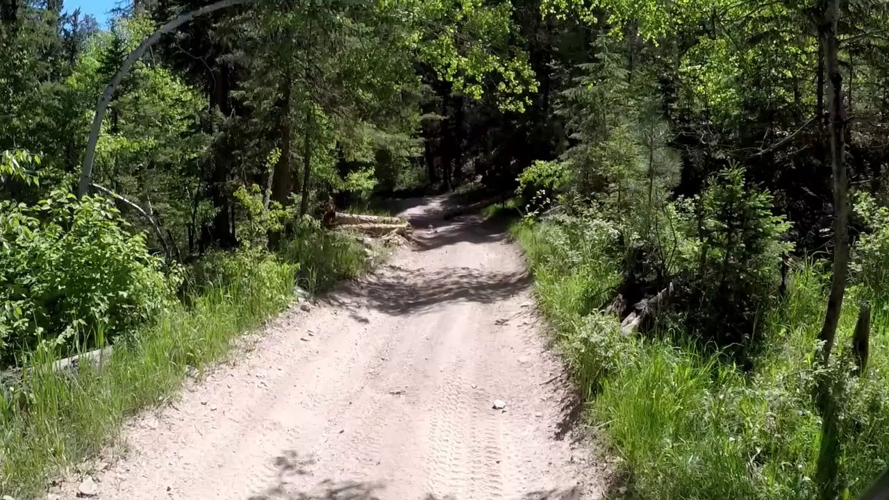Black Hills South Dakota Nemo Flag Ep.1 - YouTube