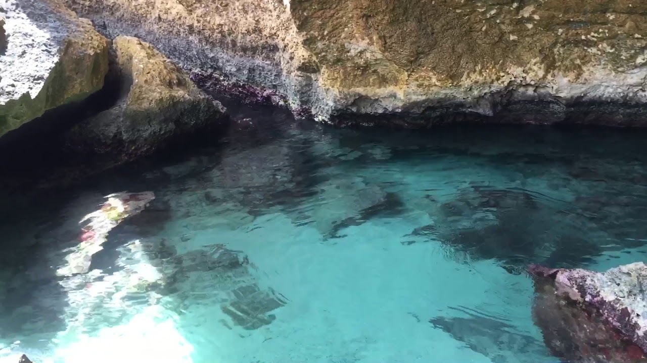 Natural pool aruba - YouTube