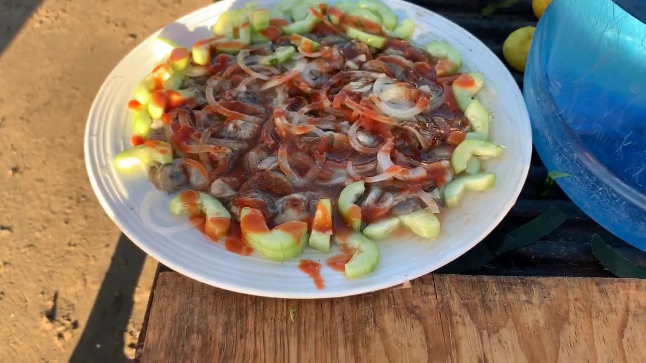 El mapache y sus ostiones - YouTube