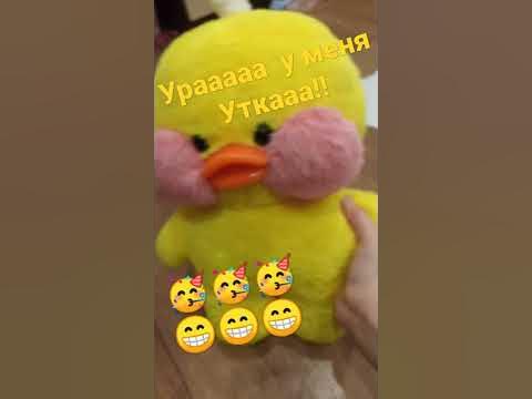 утки ещё в тренде?? - YouTube