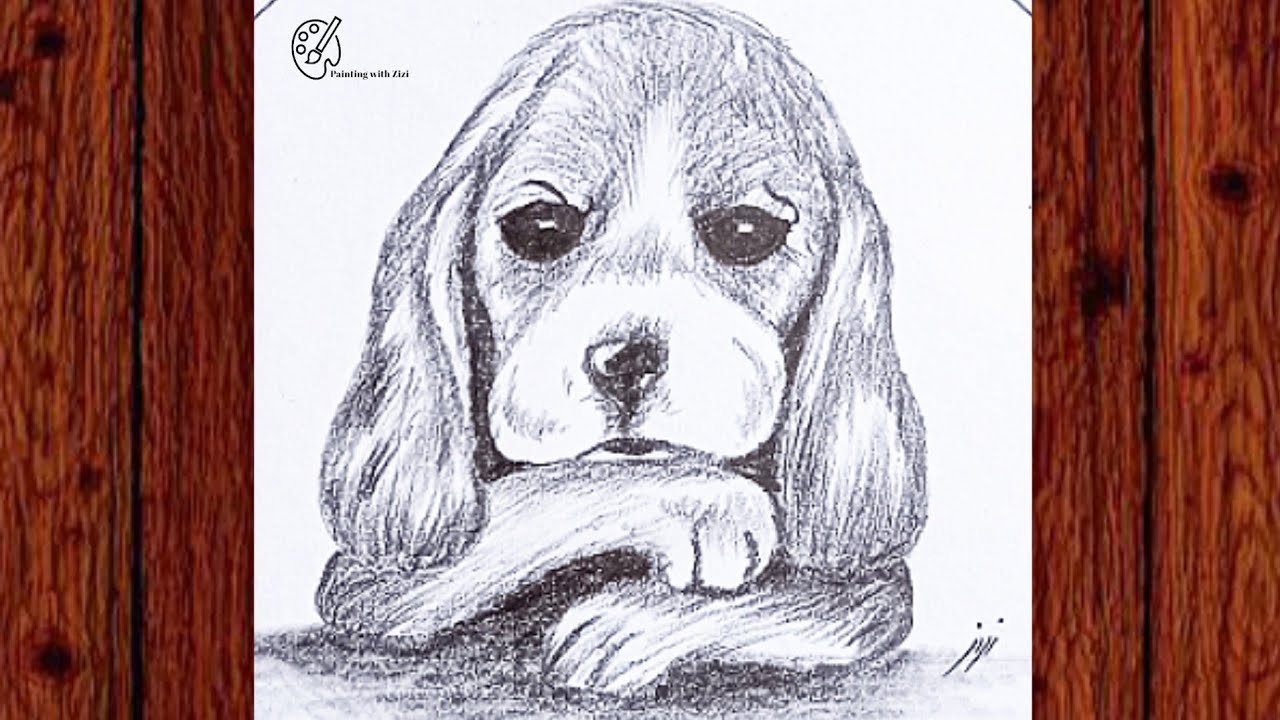 How to draw a dog: Draw this cute dog with easy and fast drawing - YouTube