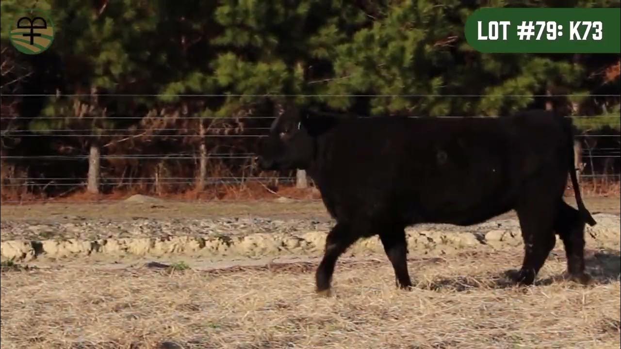 Lot 79: K73 - YouTube