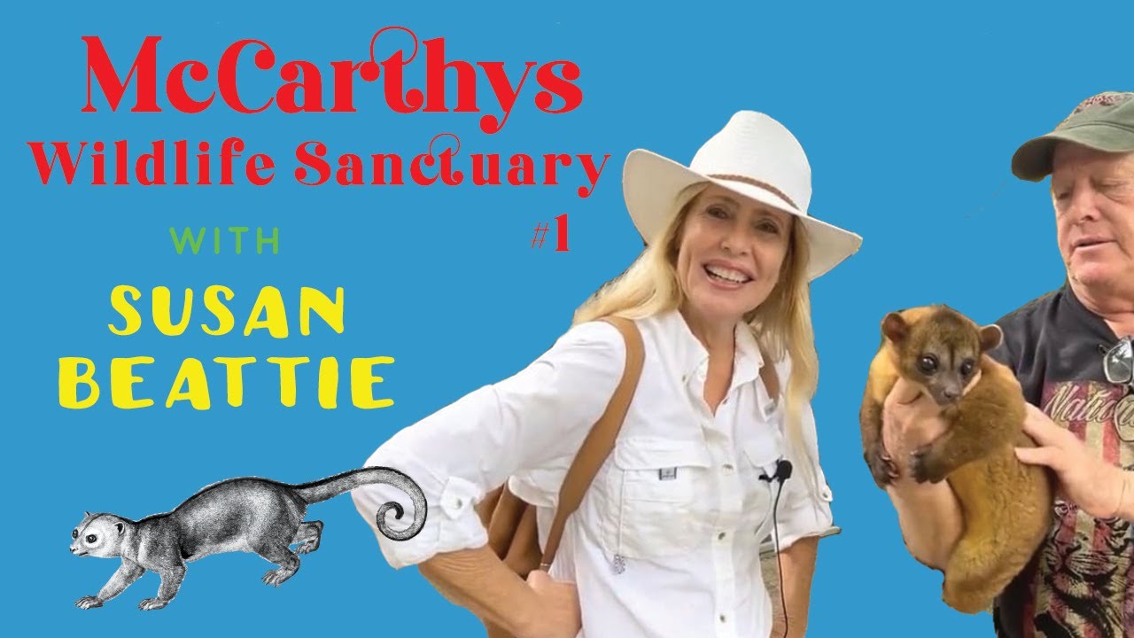 MCCARTHY’S WILDLIFE SANCTUARY WEST PALM BEACH, Fl with SUSAN BEATTIE (1 ...