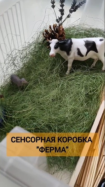 СЕНСОРНАЯ КОРОБКА ФЕРМА ДЛЯ МАЛЫШЕЙ 🌾🐄 - YouTube