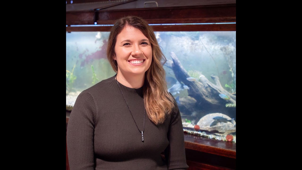 Artificial Intelligence could revolutionize barramundi breeding, shows ...