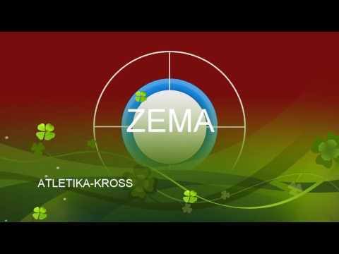 -ZEMA-Сиверянка.Кросс