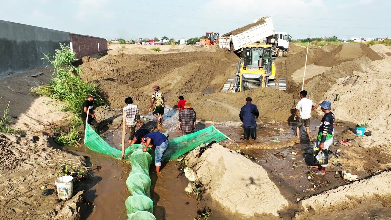 Sand Filling Up Technique By Bulldozer SHANTUI and Wheel Loader Pushing ...