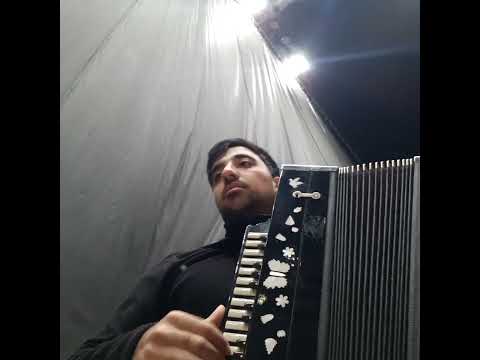 GARMON MUSİC / SHUVELANİ REQSİ / ŞÜVƏLANİ RƏQSİ / AZERBAİJAN GARMON MUSİC