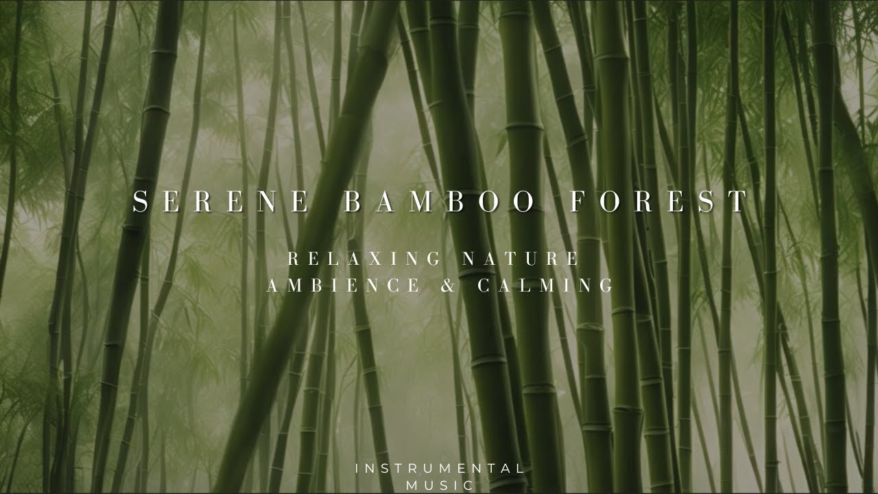🌿 Serene Bamboo Forest | Relaxing Nature Ambience & Calming ...