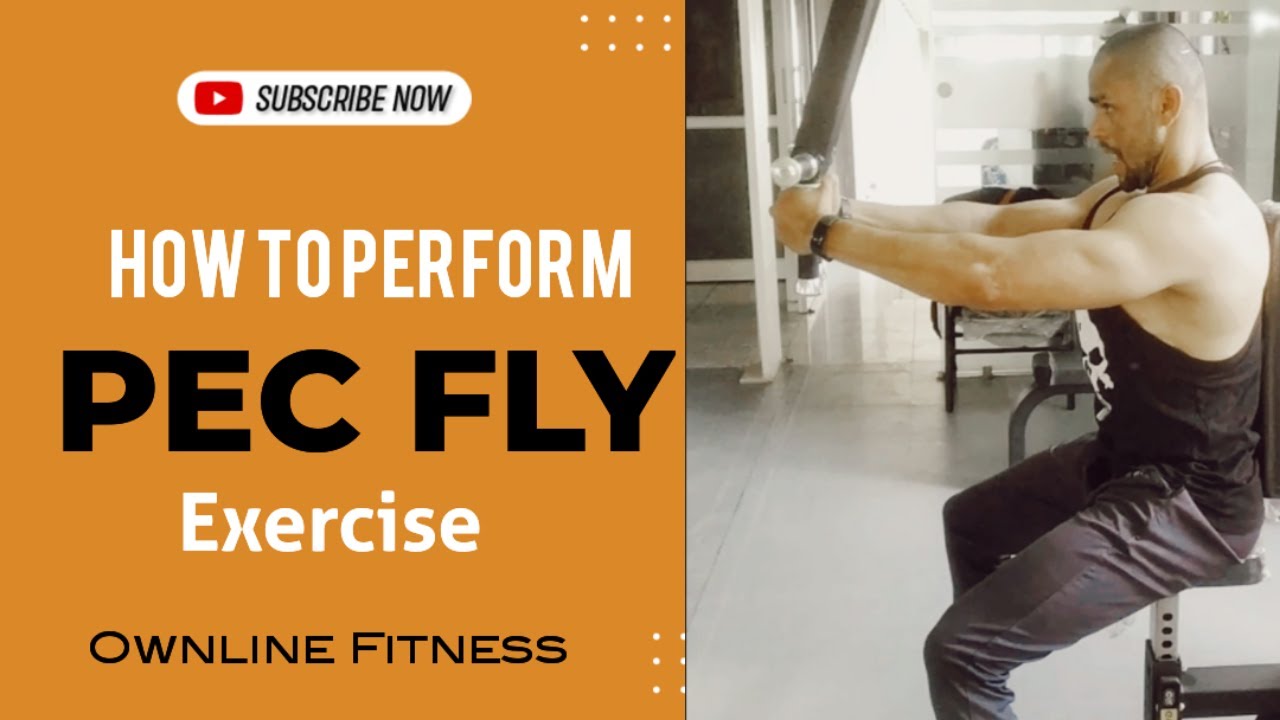 How to perform PEC FLY exercise? Chest exercise - YouTube