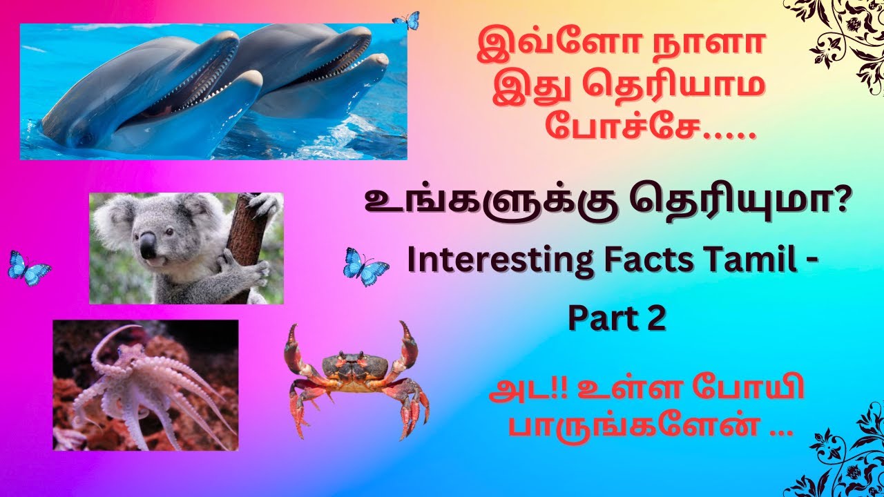 Interesting Facts Tamil | உங்களுக்கு தெரியுமா? - YouTube