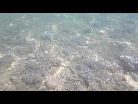 Samsung A3 2017  water test