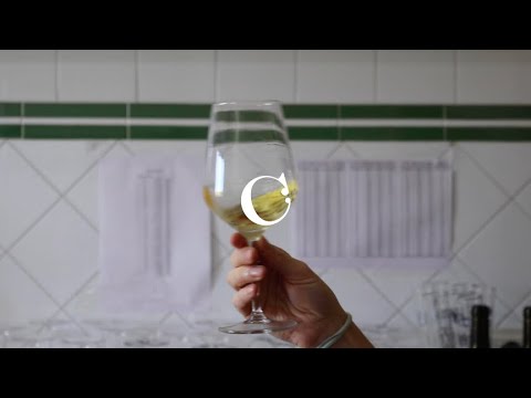 Nota de Cata, Sara Román. - YouTube