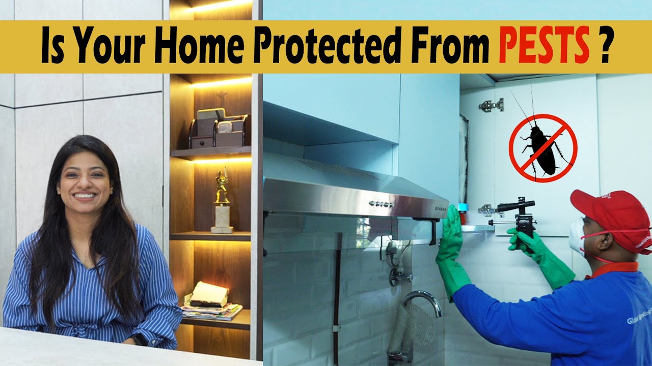 Pest control During Interior design Process | Cockroach control ...