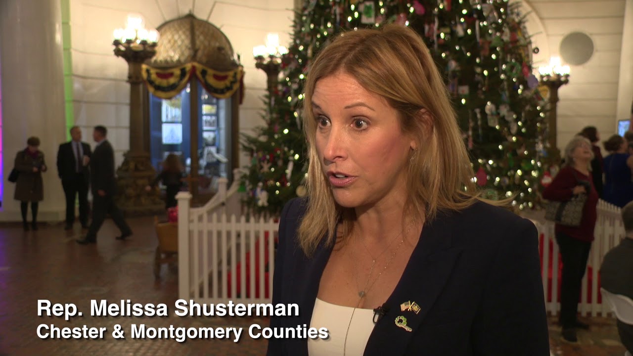 Shusterman Takes Oath of Office - YouTube