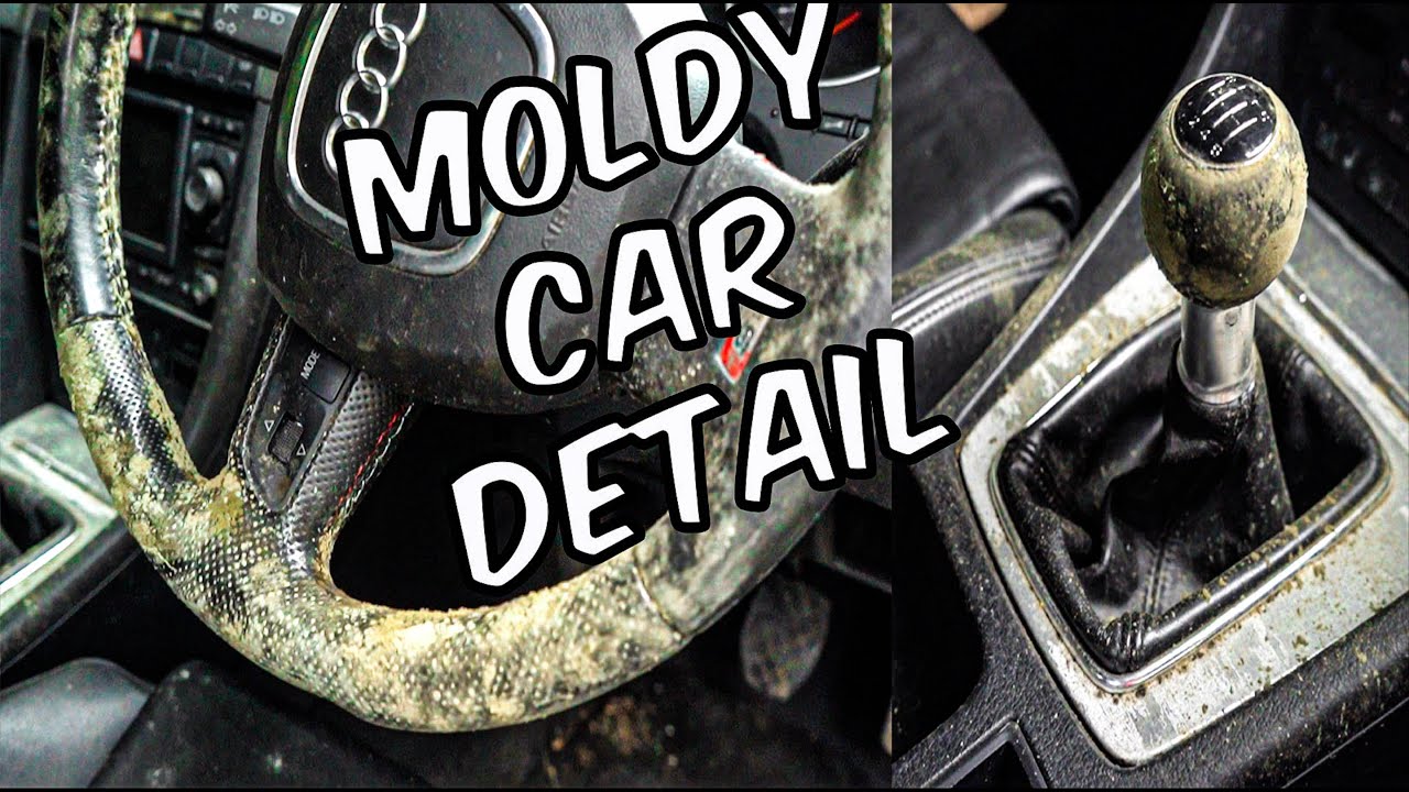 DEEP CLEANING A FILTHY MOLDY DISGUSTING CAR AUDI A4 INTERIOR DETAIL ...
