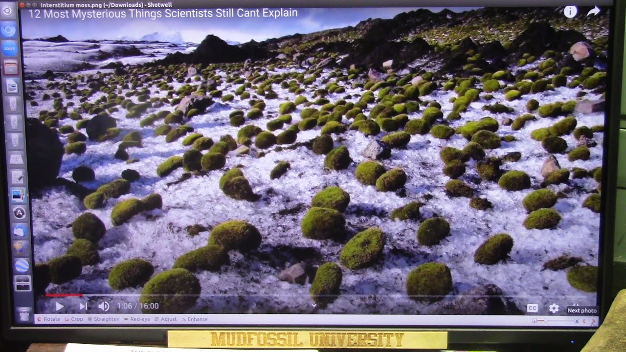 Who Can Explain These Geological Formations that Create Moss Covered ...