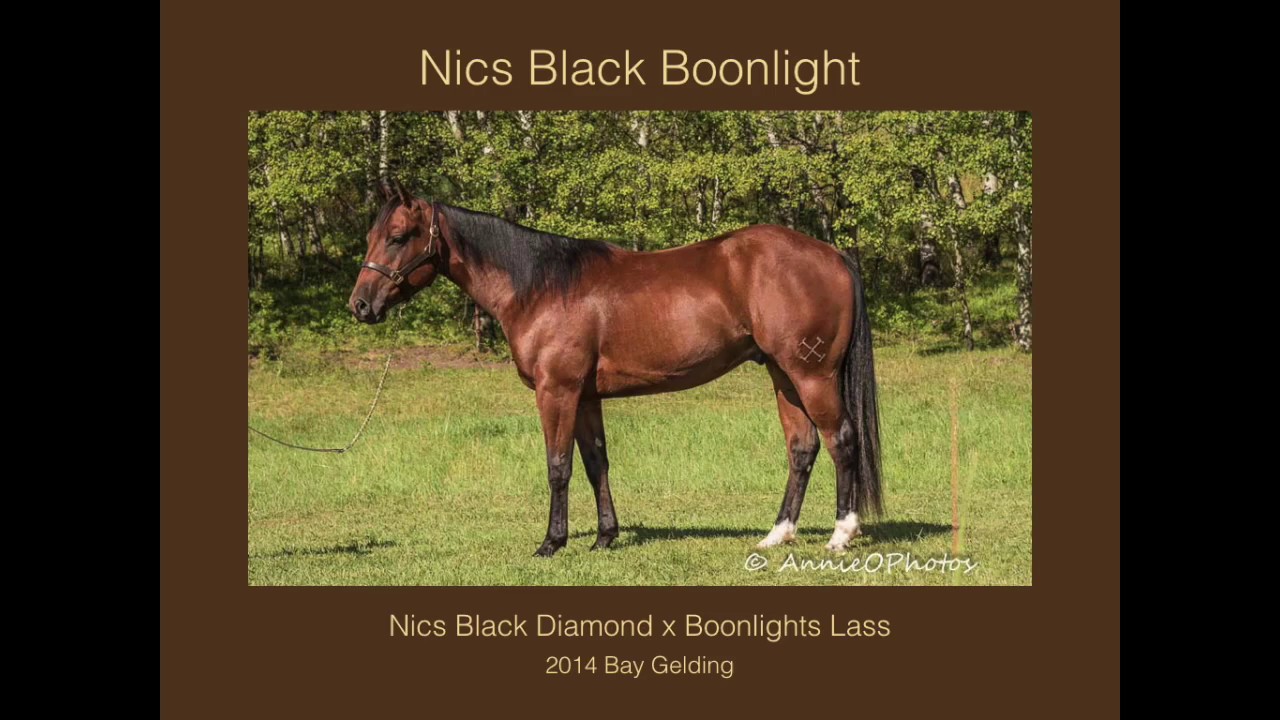 Nics Black Boonlight - YouTube