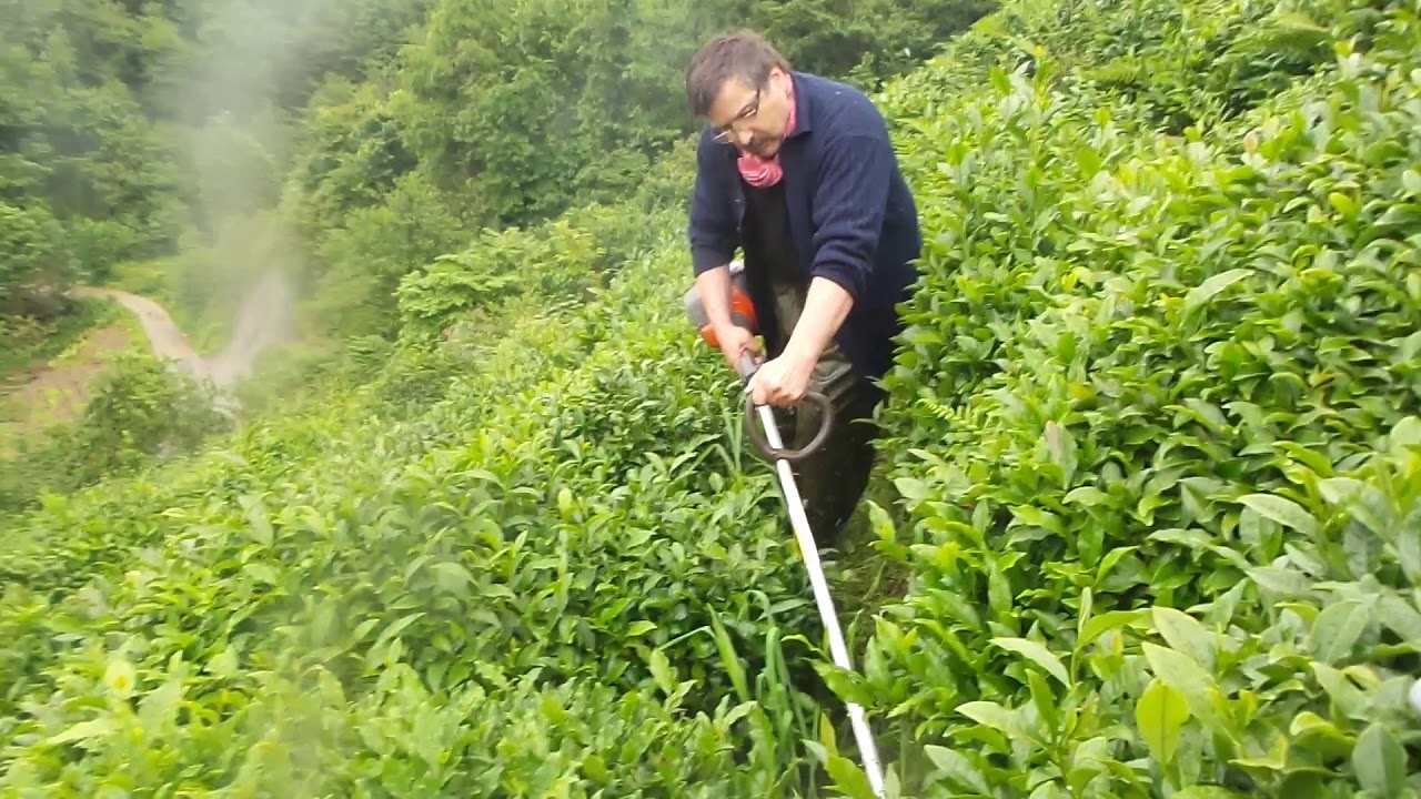 BANDIRMA GERÇEK TV - YouTube