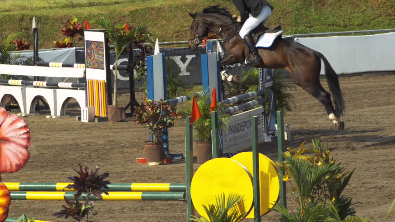 Calvet Z, 4 y.o. Zangersheide Stallion & Alex Hynds, Day 3, Panama ...
