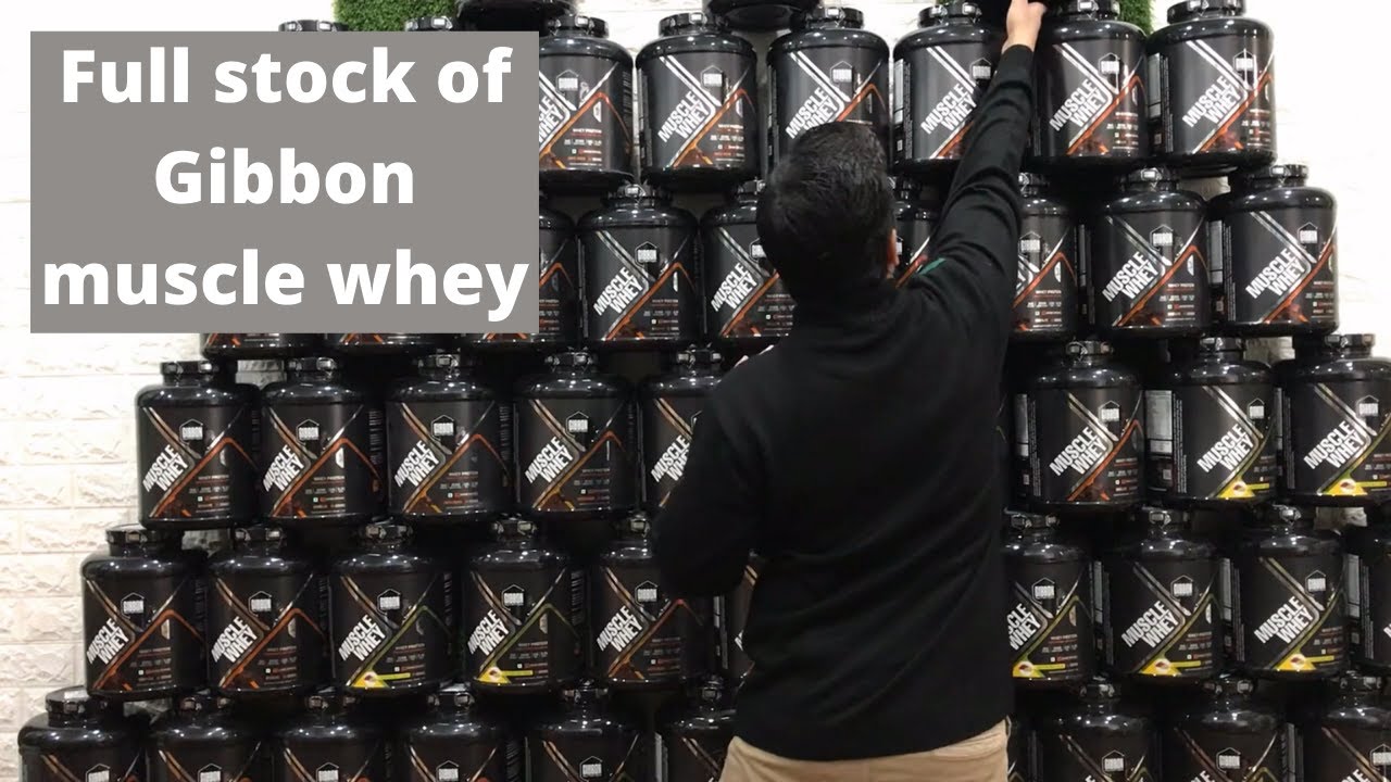 Gibbon muscle whey full stock updated | Buy 100 % original at best ...