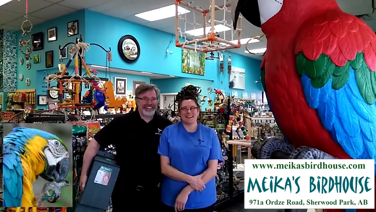 Meikas Birdhouse Commercial - YouTube