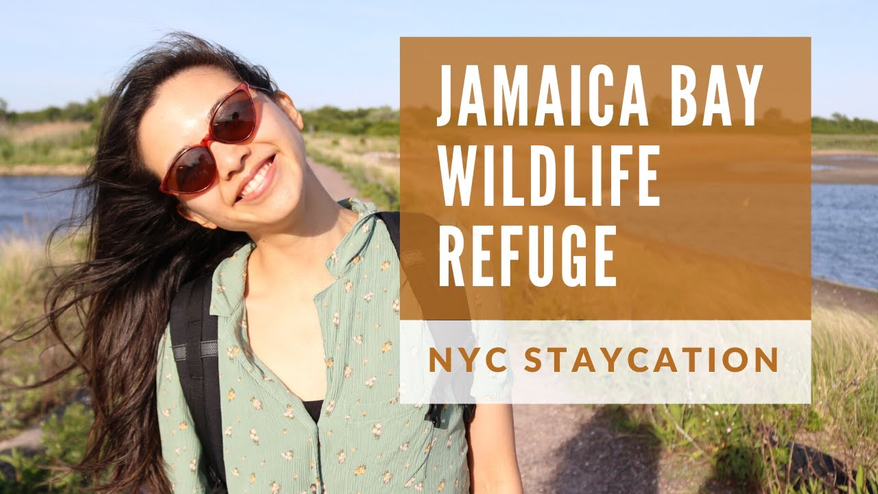 Jamaica Bay Wildlife Refuge & Sunset Cove Park - NYC STAYCATION - YouTube