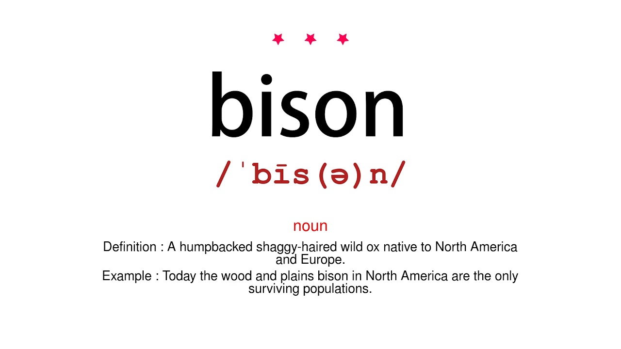How to pronounce bison - Vocab Today - YouTube
