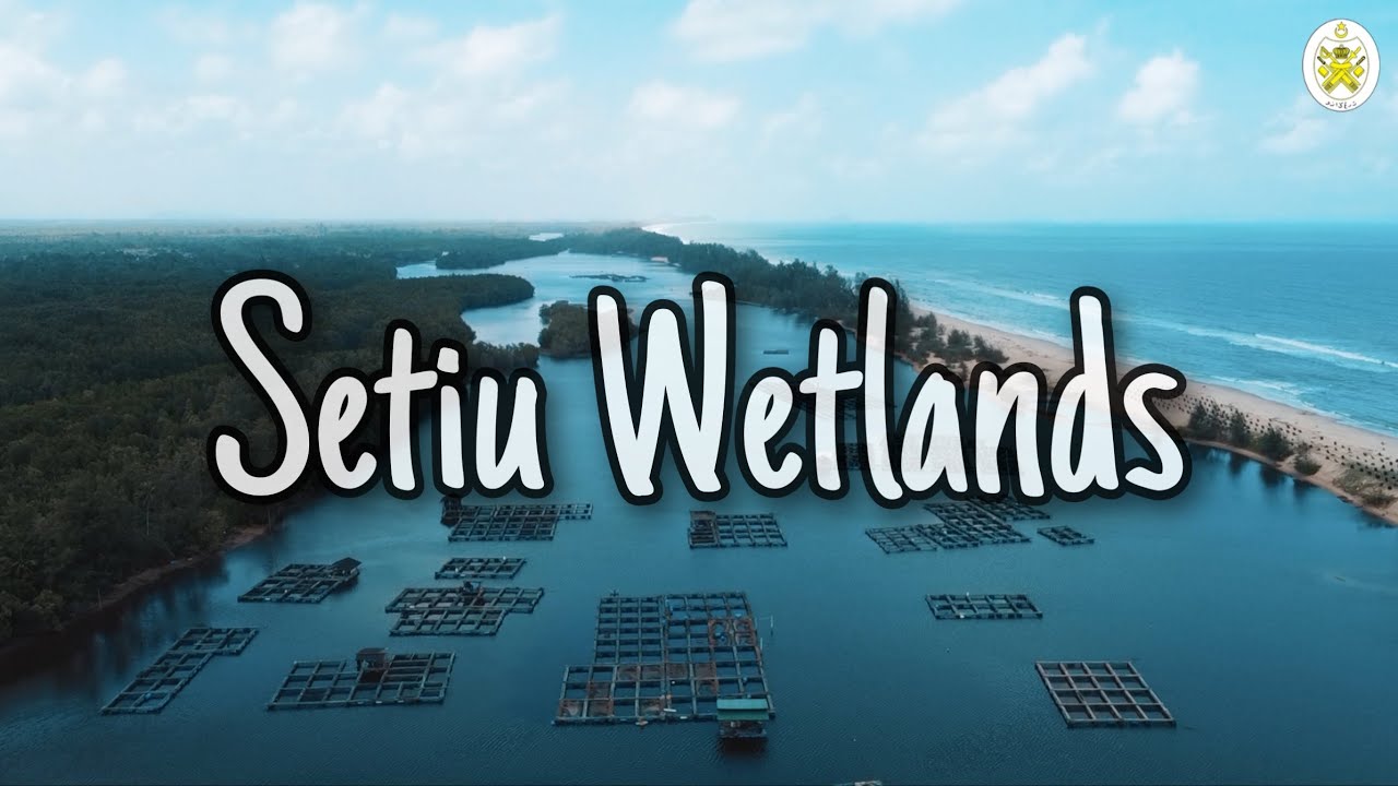 Taman Negeri Setiu Wetlands - YouTube