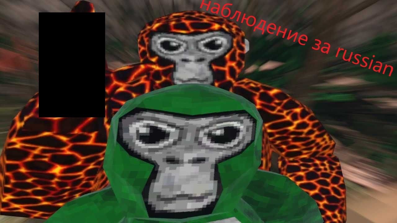 чем занимаются игроки gorilla tag на сервере RUSSIAN - YouTube