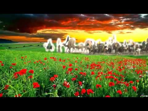 qısa dini melodiya.