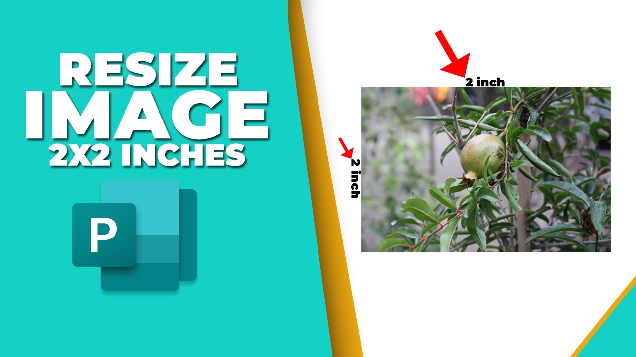 How To Resize Image In Publisher 2x2 Inches YouTube