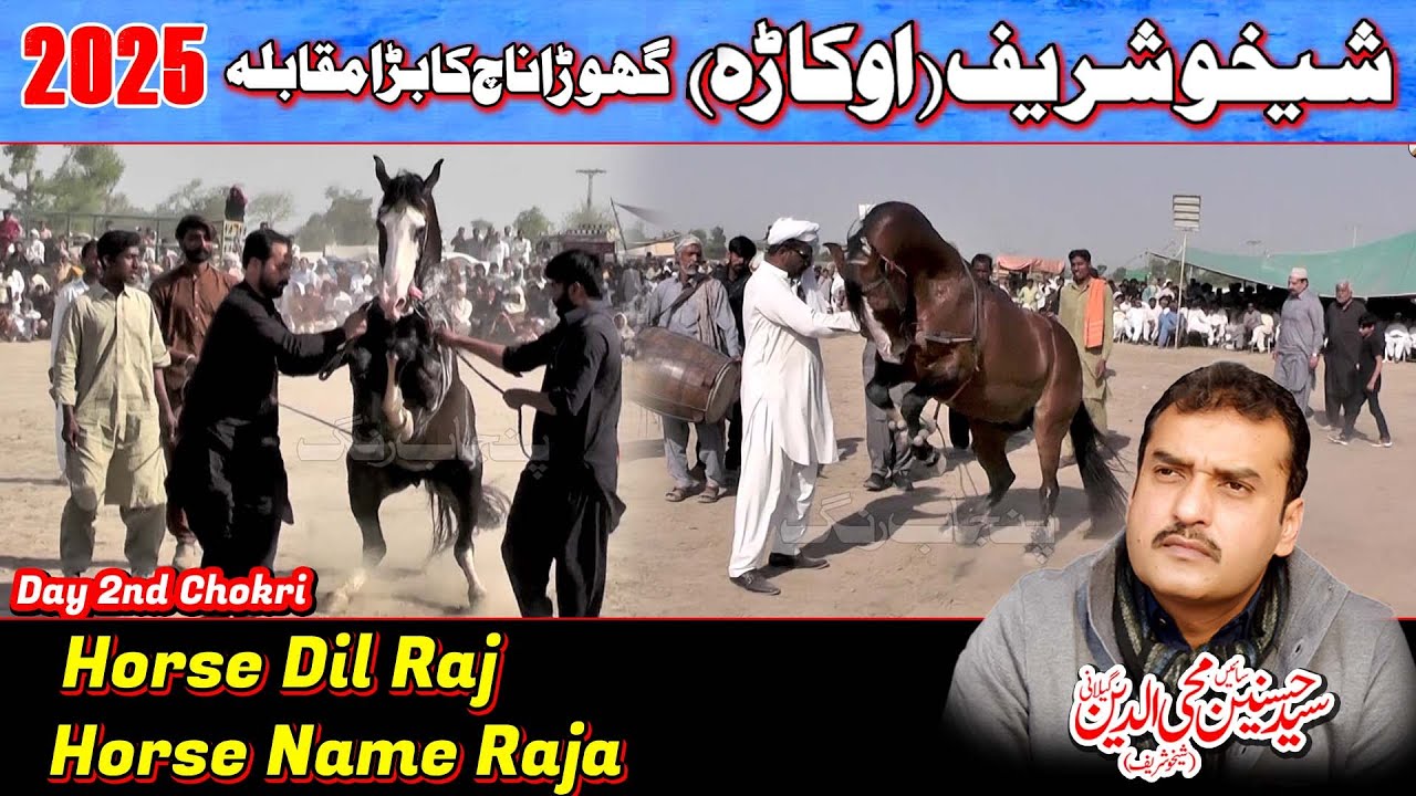 Horse Dance l Dil Raj l Raja l 4 April 2025 Sheikhu Sharif Okara l Rai ...