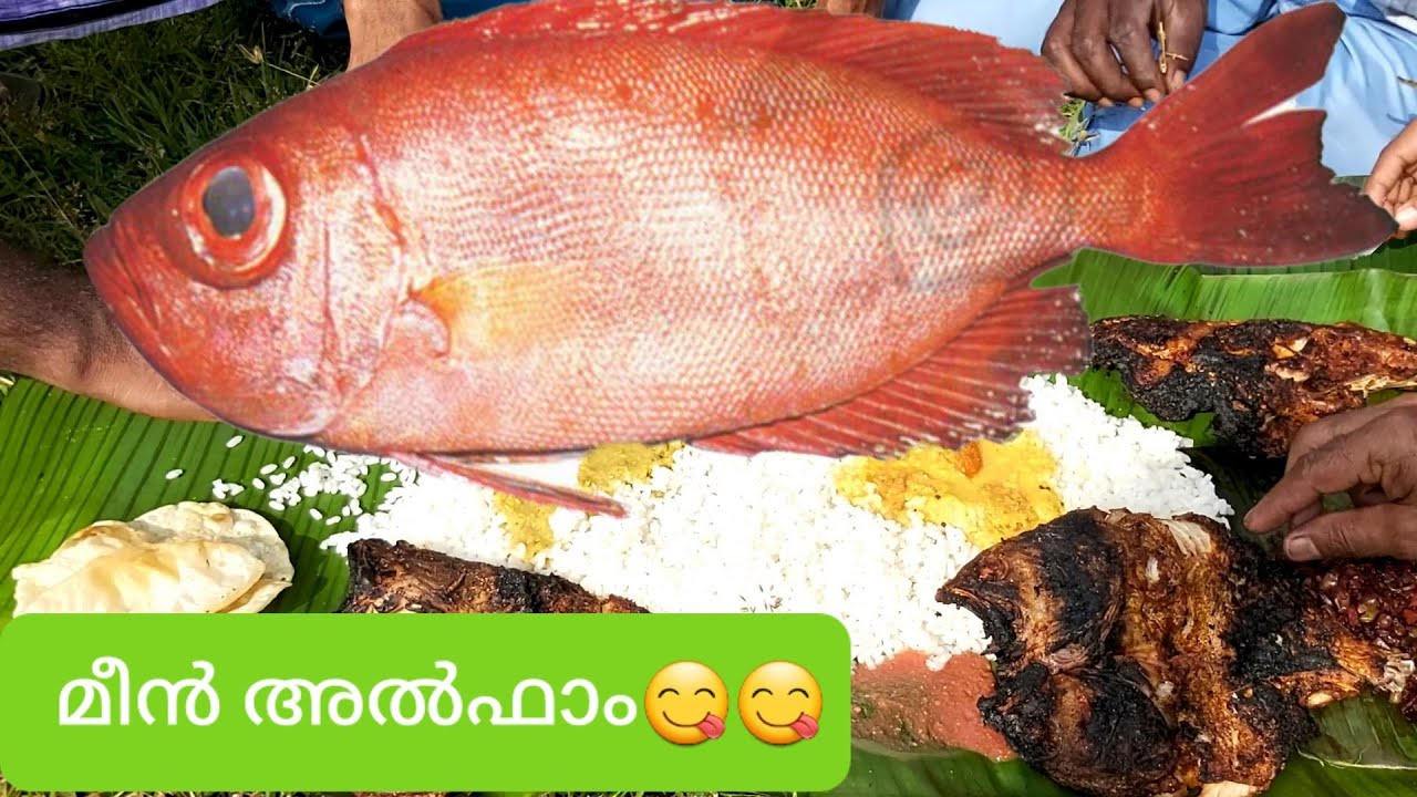 Fish Alfaham Recipe / Village Cooking / Mallu Sport - YouTube
