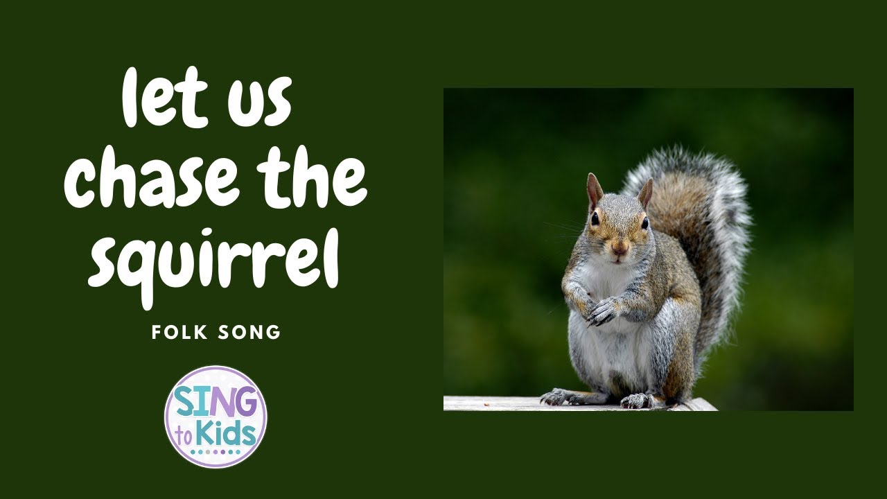 Let Us Chase the Squirrel - YouTube
