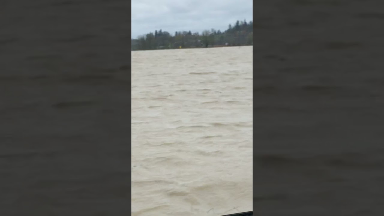 Clayburn Village turned into a lake in Abbotsford BC Flood on November ...