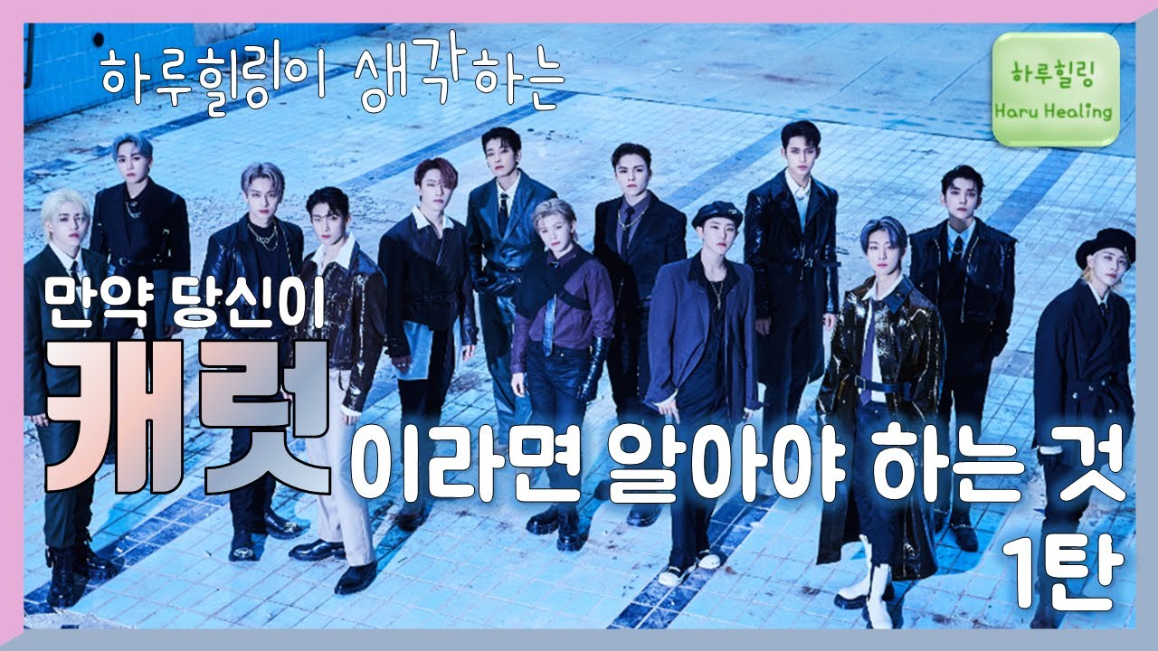 세븐틴을 좋아하는 캐럿이라면 이 정도는 기본 상식! | SVT CARAT - YouTube