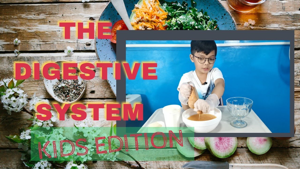 THE DIGESTIVE SYSTEM KIDS EDITION - YouTube
