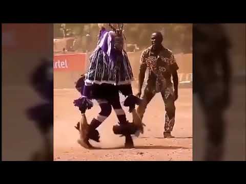 Видео для WhatsApp Смешные короткие видео смех, если вы рискуете пропустить экстремальный уровень