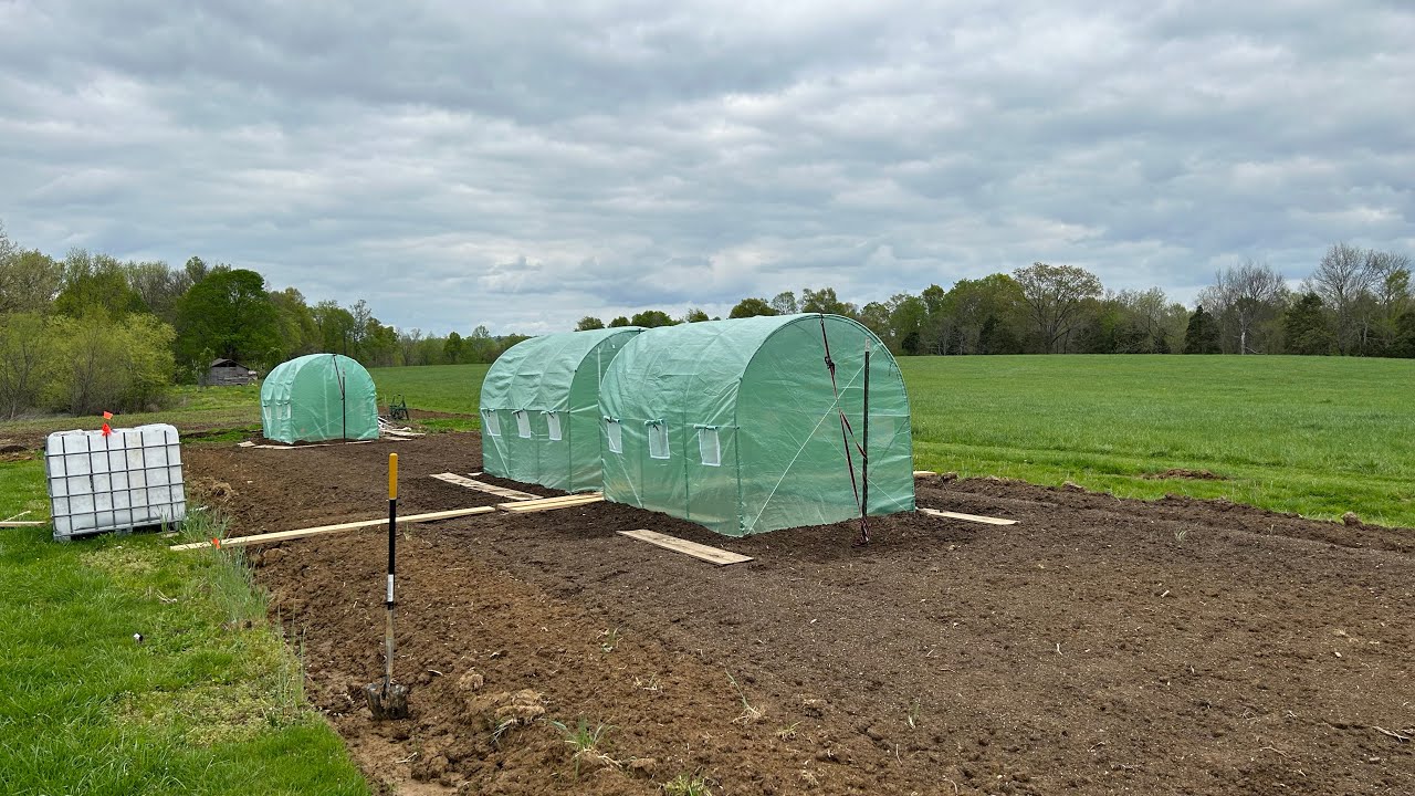 Plants are growing. Update!! - YouTube