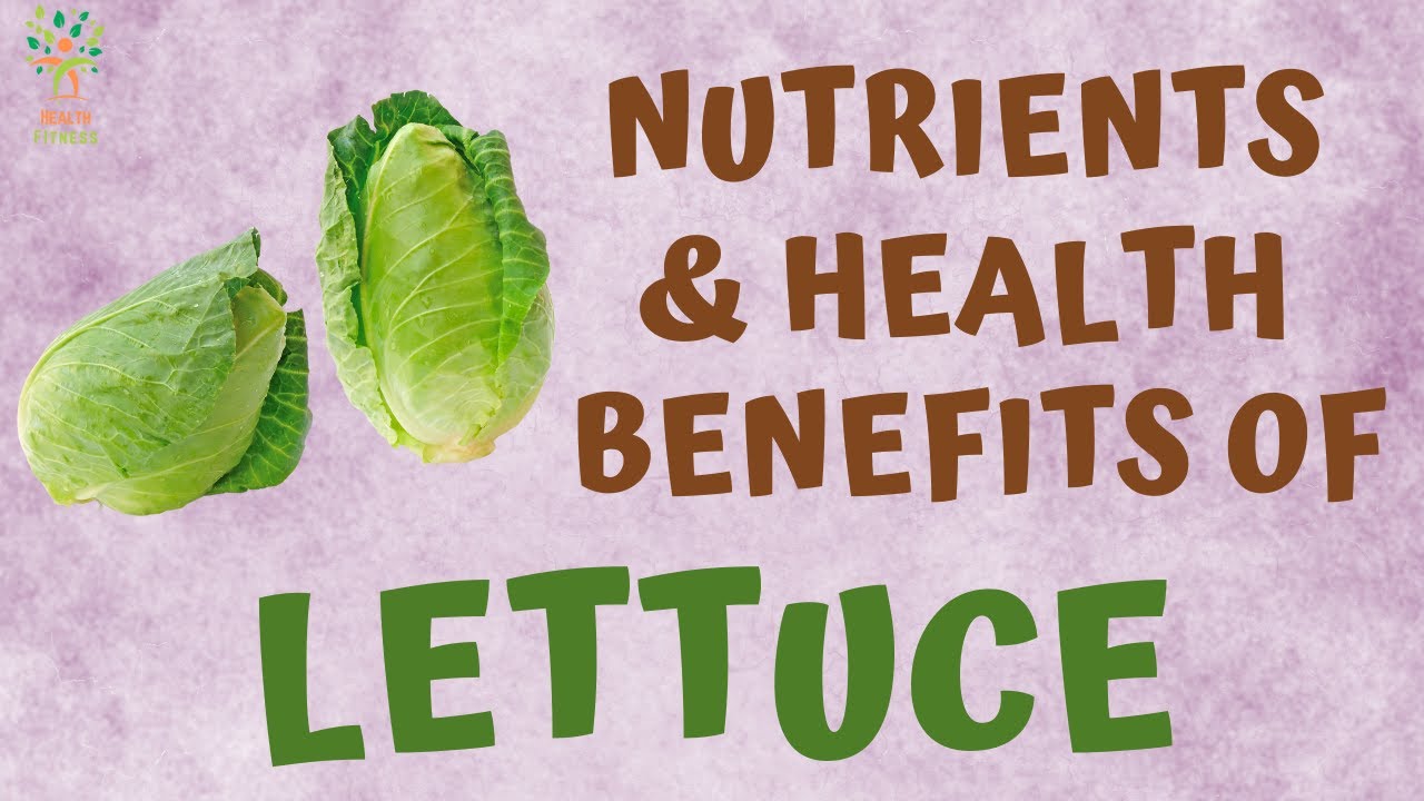 Lettuce - Nutrients and Health Benefits of Lettuce taking Daily ...