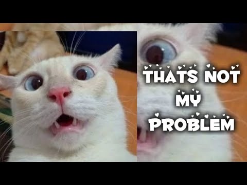 Thats Not my Problem-Laila - YouTube